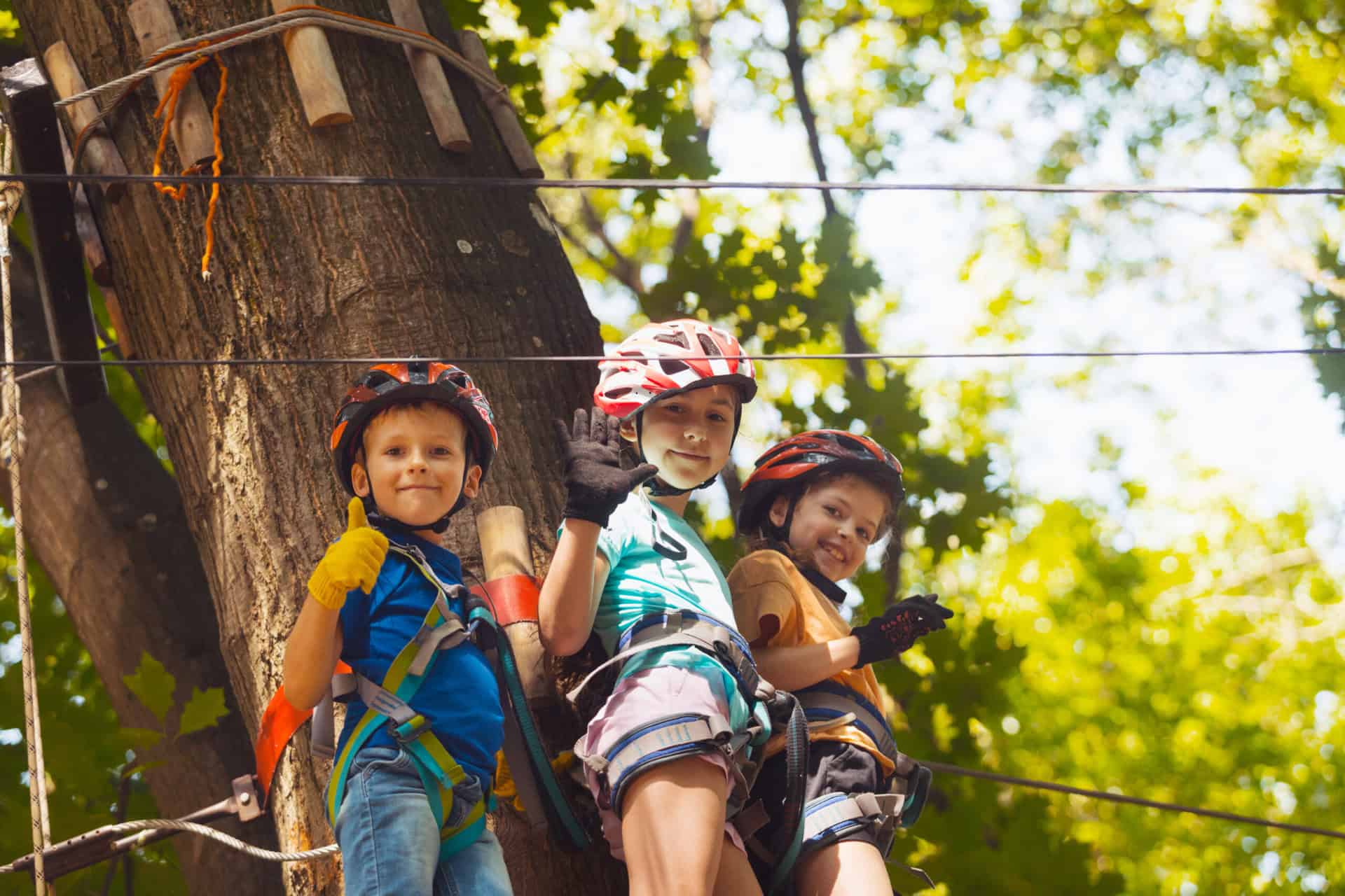 What Is Camp Education? - Camp Education International